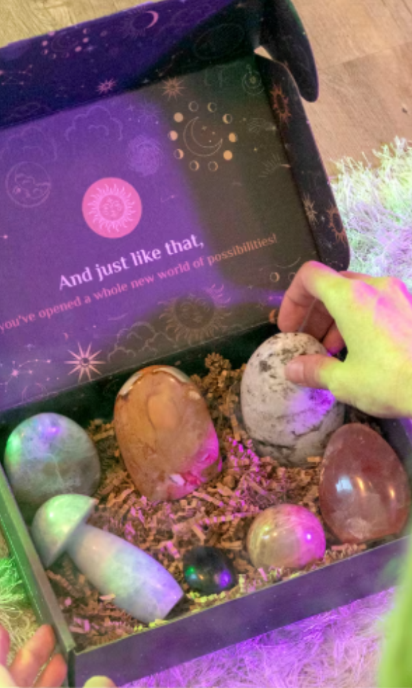 Shop LC Live Stream | Jewelry, Fashion & Lifestyle Deals